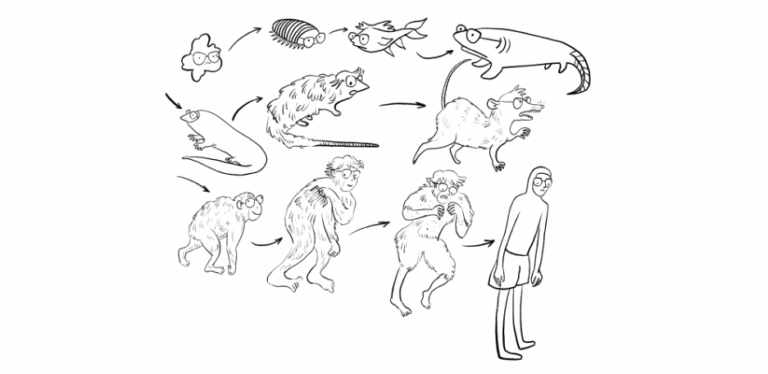 Operatie TOILET - Verhalennest